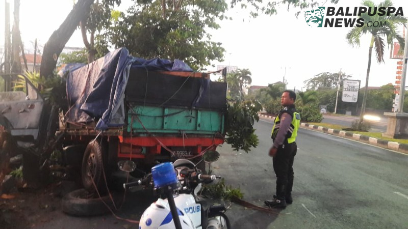 Truck Bawa Penyu Tabrak Pohon, Sopir Melarikan Diri - Balipuspanews.com