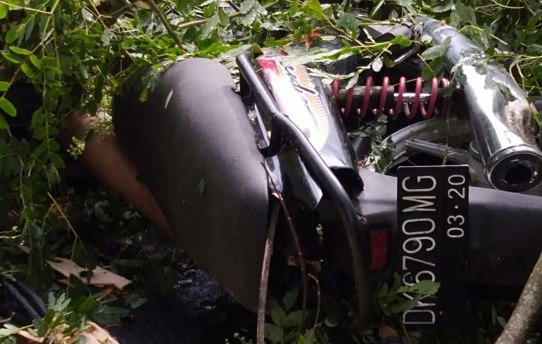 Pemotor Tewas Tertimpa Pohon di Karangasem - Balipuspanews.com