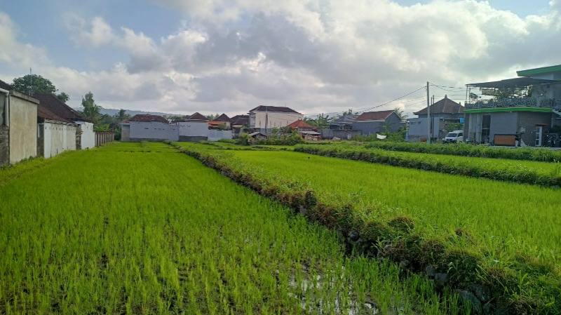 Ratusan Hektar Sawah di Karangasem Terancam Jadi Perumahan - Balipuspanews.com